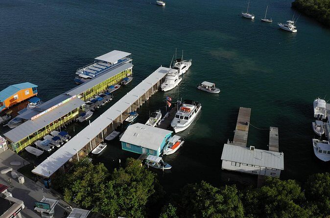 La Parguera Glowing Bioluminescent Bay Boat Tour from San Juan - FAQ