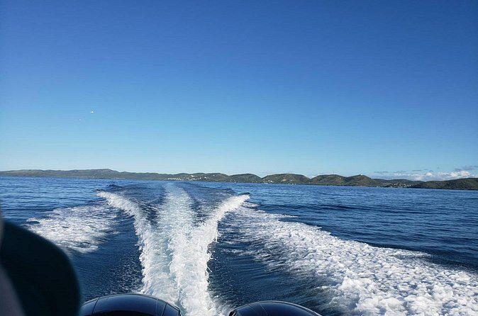 La Parguera Private Boat Charter - Who Should Consider This Tour?