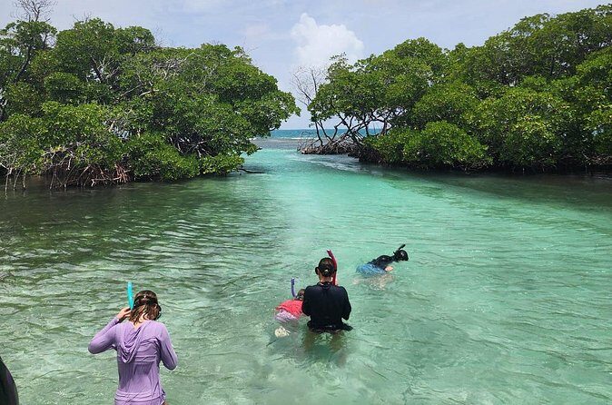 La Parguera Private Boat Charter - The Sum Up