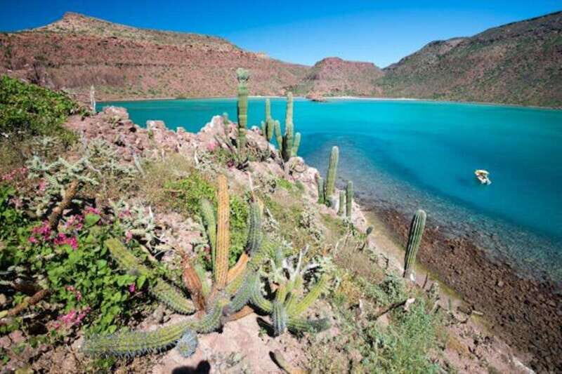 La Paz: 3-Beach Snorkeling Tour with Lunch and Drinks - A Detailed Look at the Tour Itinerary