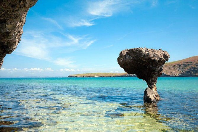 La Paz and Todos Santos City and Beaches Tour - Who Should Consider This Tour?