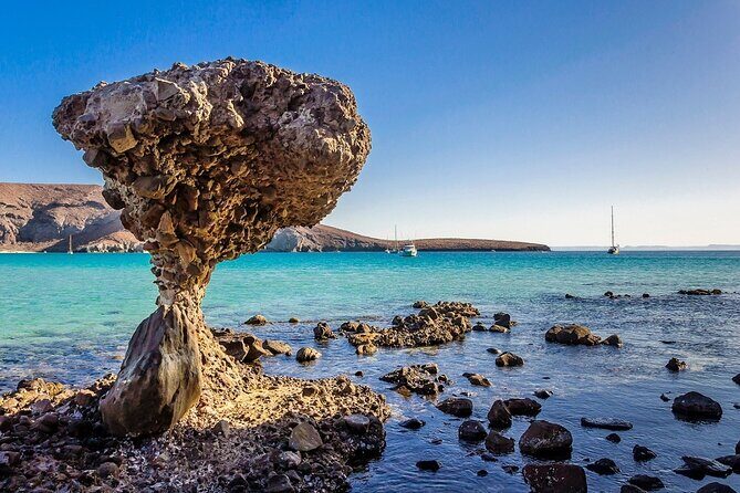 La Paz, Balandra and Todos Santos from CABO and San Jose - FAQ