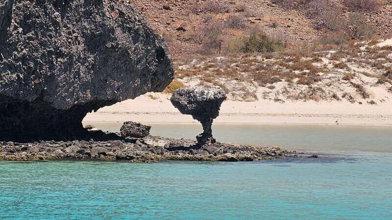 La Paz: Balandra Beach Luxury Yacht Charter Cruise - Who Should Book This Experience?