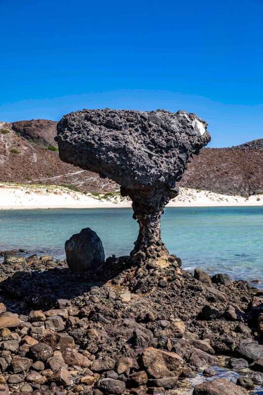 La Paz: Balandra or Tecolote amazing Beach Day Tour - La Paz: Balandra or Tecolote Amazing Beach Day Tour – A Complete Guide