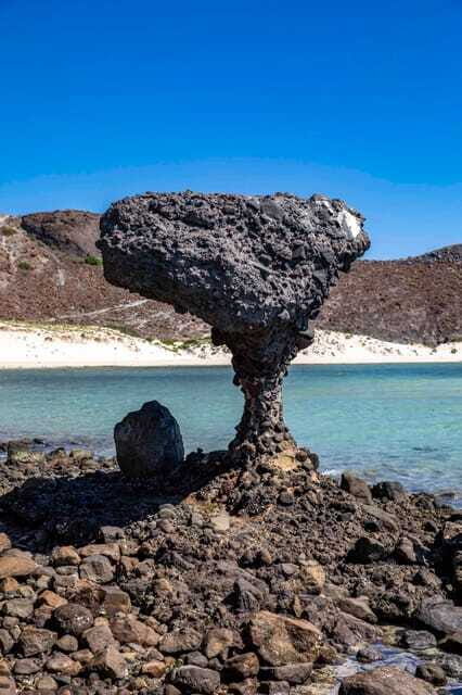 La Paz: Balandra or Tecolote amazing Beach Day Tour - Final Verdict