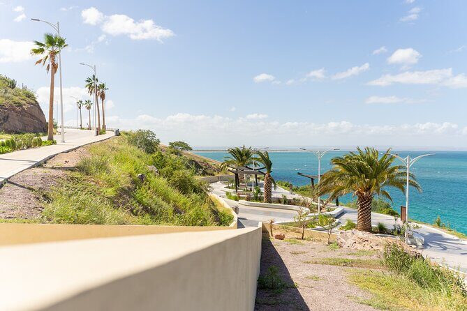 La Paz Beaches Half Day Tour - Who Will Love This Tour?
