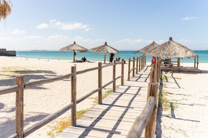 La Paz Beaches Half Day Tour - Frequently Asked Questions
