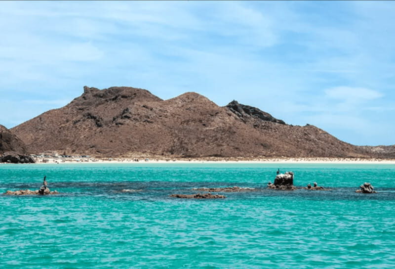La Paz: Boat ride to Espiritu Santo island and sloop - Key Points