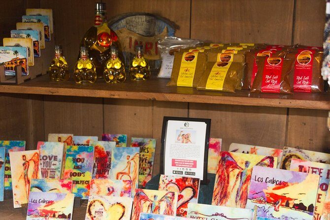 La Paz City Tour from Cabo - Who Should Book This Tour?