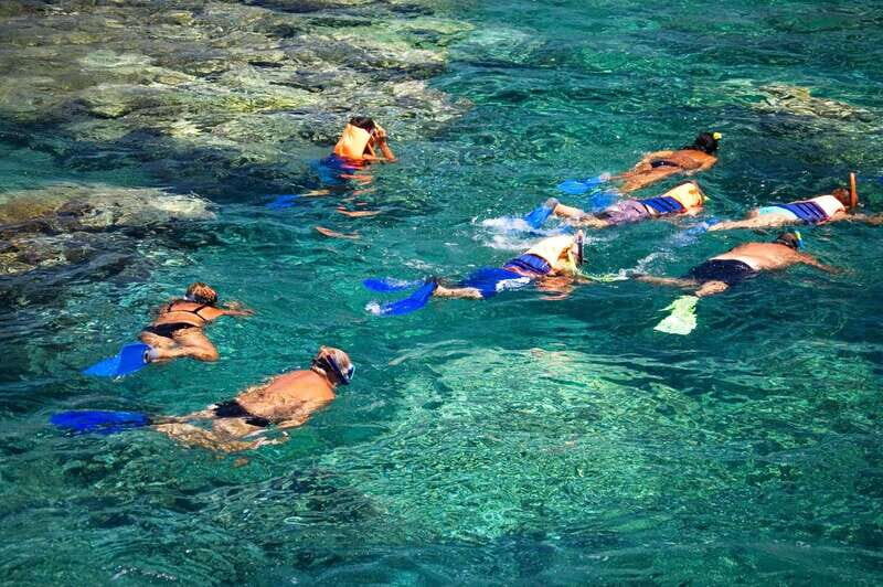 La Paz: Coral Farm Snorkel Tour - Key Points