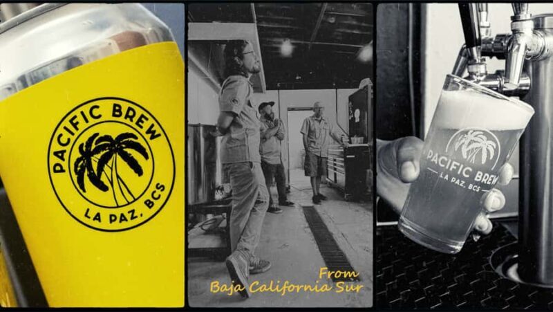 La Paz Cruisers: Craft Beer Tour with Tastings and Ceviche - Practical Considerations and Value