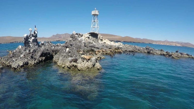La Paz: Day Cruise & Snorkelling (w/sea lions) Food & Drinks - FAQ
