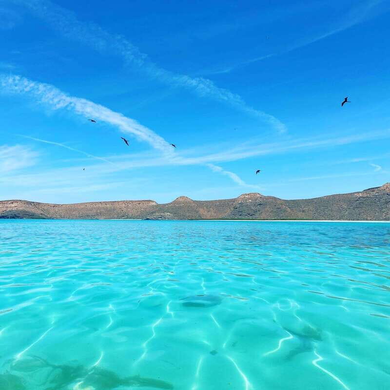La Paz: Deluxe Yacht Adventure with Paddleboarding - The Yacht and Comfort