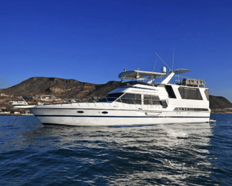 La Paz: Deluxe Yacht Adventure with Paddleboarding - What’s Not Included and What to Bring