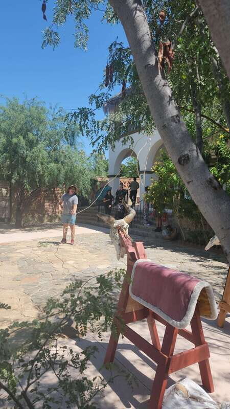 La Paz: El Triunfo Town Tour with Lunch and Transportation - Exploring the Vaquero Culture at MUVACA