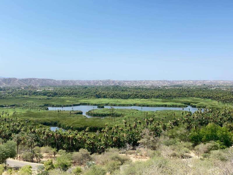 LA PAZ ENCOUNTER - Introduction: A Day of Baja Wonders
