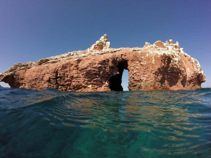 La Paz: Espíritu Santo Island Snorkeling Tour with Lunch - Discovering Espíritu Santo Island: What to Expect