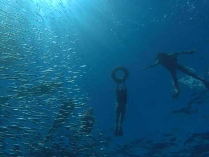 La Paz: Espíritu Santo Island Snorkeling Tour with Lunch - The Practicalities: What’s Included and What to Keep in Mind