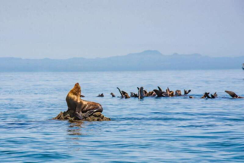 La Paz: Espiritu Santo Island Tour - Introduction to the Isla Espíritu Santo Tour