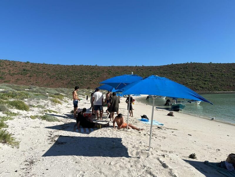 La Paz: Espiritu Santo Island Tour - Additional Practical Details
