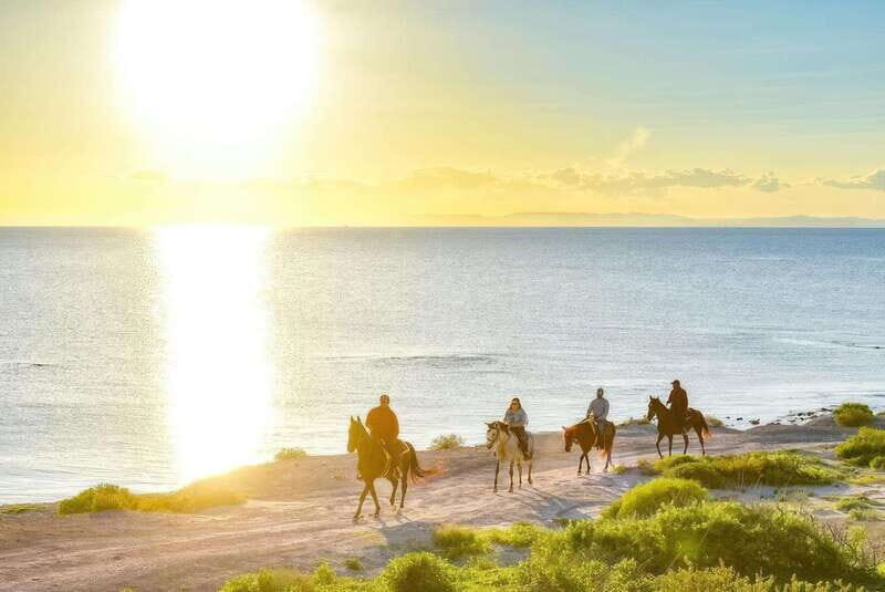 La Paz: Horseback Riding - Exploring the Heart of Baja: What This Tour Offers