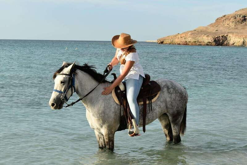 La Paz: Horseback Riding - Final Thoughts