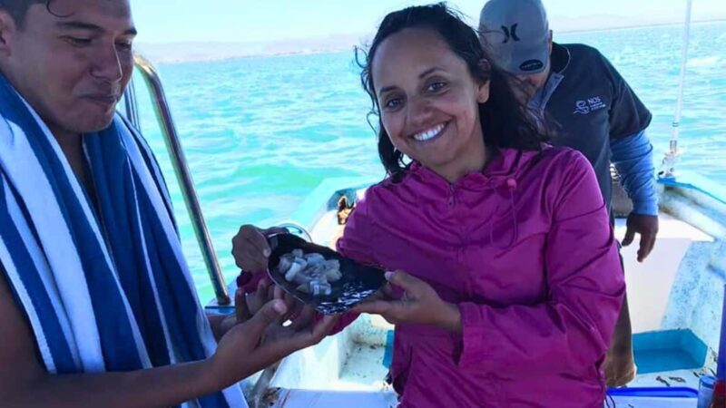 La Paz: Mangrove Adventure, Snorkeling and Shellfish Tasting - An In-Depth Review of the La Paz Mangrove Experience