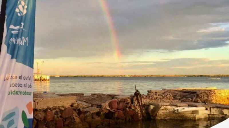 La Paz: Mangrove Adventure, Snorkeling and Shellfish Tasting - Final Words
