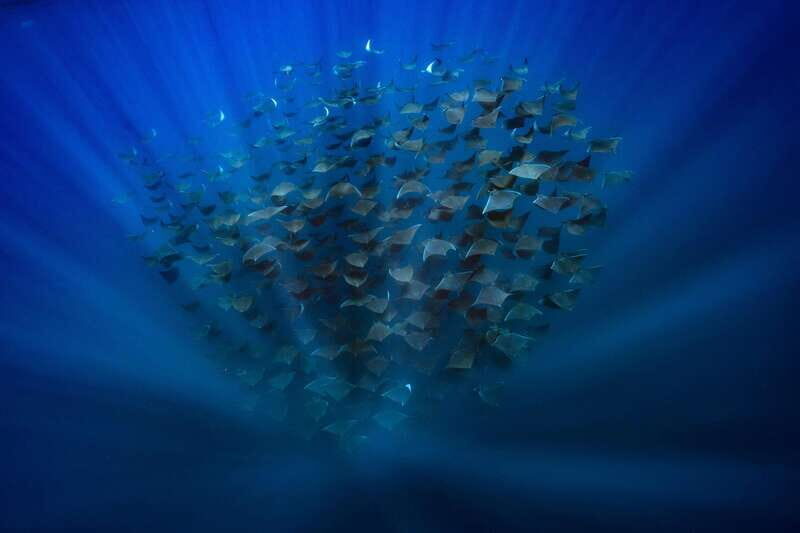 La Paz or La Ventana: Ocean Safari - Final Thoughts – Is It Worth It?