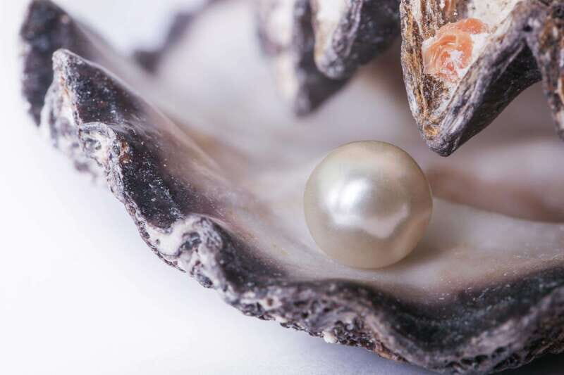 La Paz: Pearl Farm Experience and shop - A Closer Look at the Pearl Farm Tour