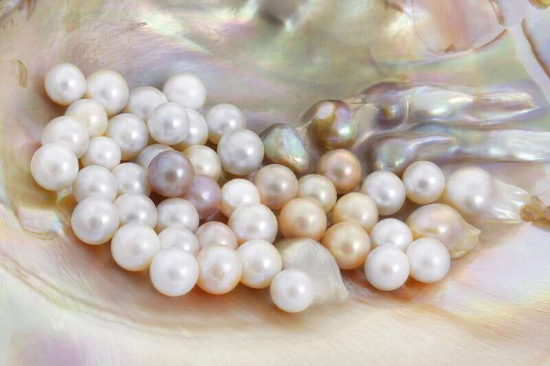 La Paz: Pearl Farm Experience and shop - Who Will Love This Tour?