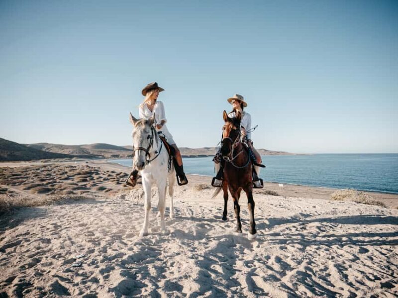 La Paz: Scenic Beach Horseback Ride with Snacks - An Overview of This Baja California Adventure
