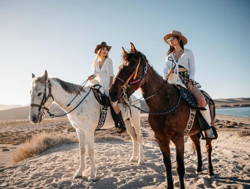 La Paz: Scenic Beach Horseback Ride with Snacks - Who This Tour Is Perfect For