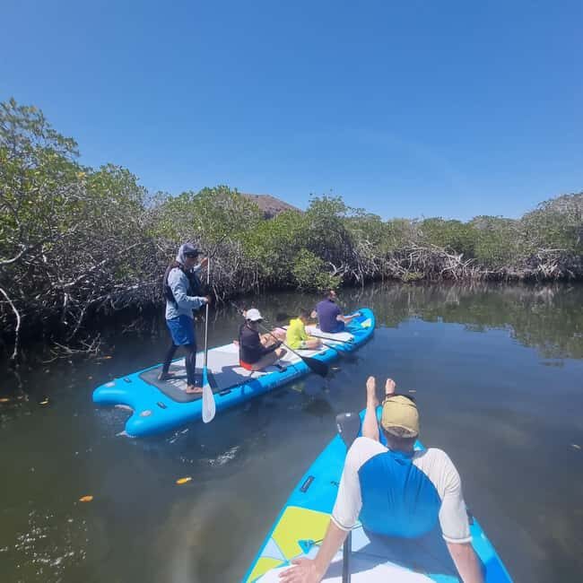 La Paz: Sea Lions & Mega-Paddleboard Tour in Balandra - Final Thoughts: Is This Tour Worth It?