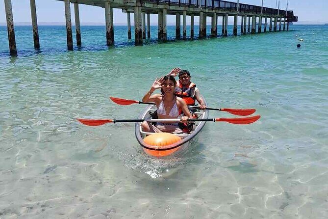 La Paz Transparent Kayaks & Paddle Boards - Explore La Paz from the Water