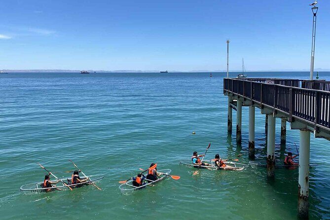 La Paz Transparent Kayaks & Paddle Boards - Practical Tips for Booking and Participation