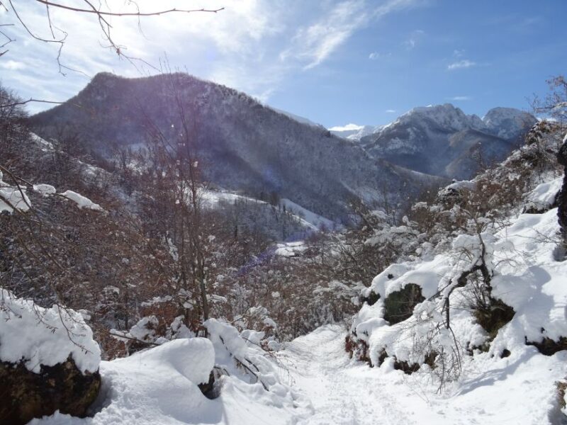 La Raya: Fuentes de Invierno Snowshoe Walk - Discovering La Raya: Fuentes de Invierno Snowshoe Walk