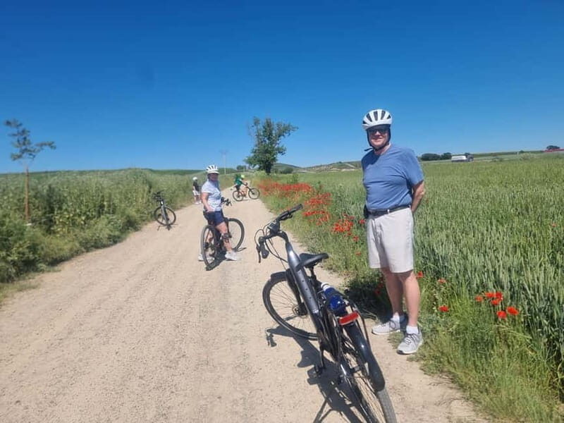 La Rioja: Guided Bike Tour - Who Will Love This Tour?
