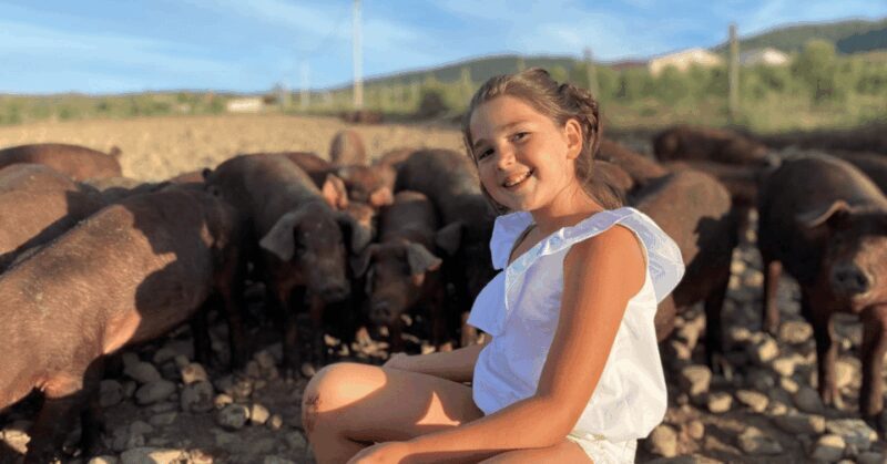 La Rioja: Jamon Iberico Farm Tour and Tasting with Wine - Pricing and Value Analysis