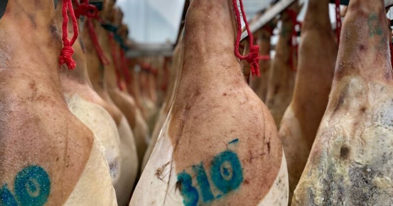La Rioja: Jamon Iberico Farm Tour and Tasting with Wine - Who Should Book This Tour?