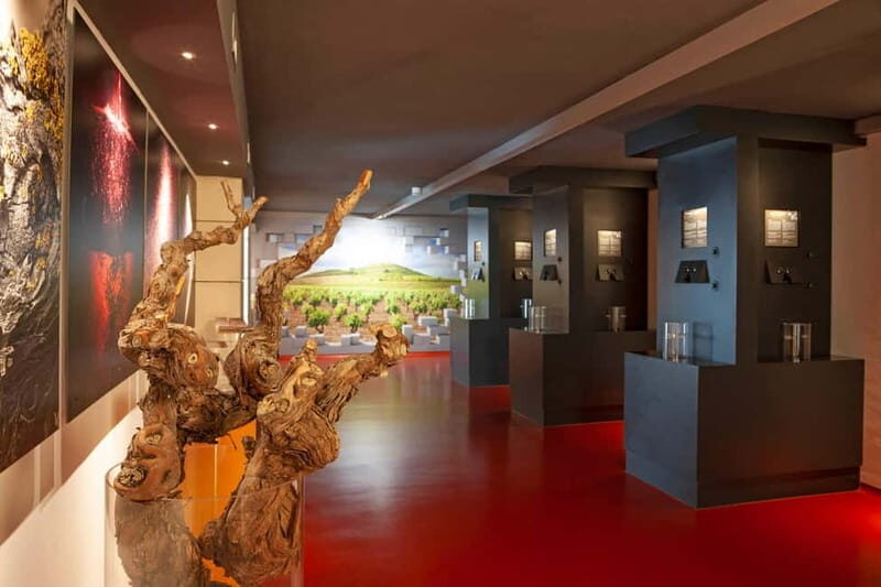 La Rioja: Sensory Experience With Wine Tasting - A Deep Dive into the Sensory Journey