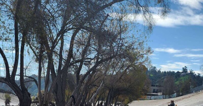 LA River Eco Tour and Secret Stair Hike - What’s Included & What To Bring