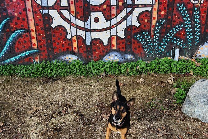 LA River Eco Tour and Secret Stair Hike - Walking the Corralitas Red Car Trail