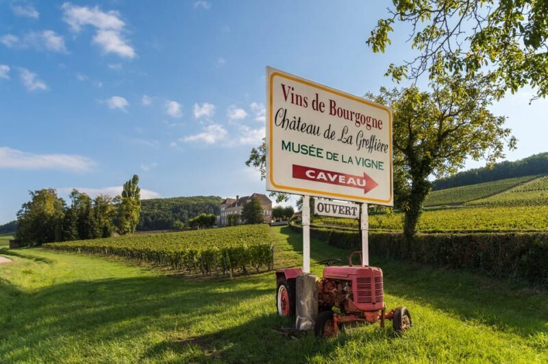 La Roche Vineuse: Visit to the Vine and Wine Museum - Key Points