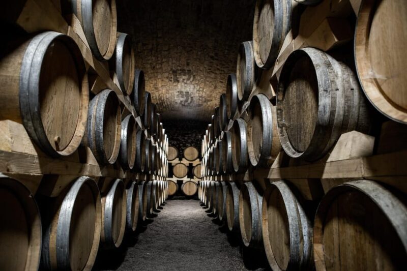 La Roche Vineuse: Visit to the Vine and Wine Museum - An In-Depth Look at the Château de la Greffière Experience