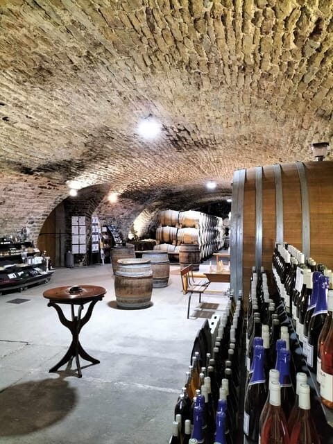 La Roche Vineuse: Visit to the Vine and Wine Museum - Why This Tour Stands Out