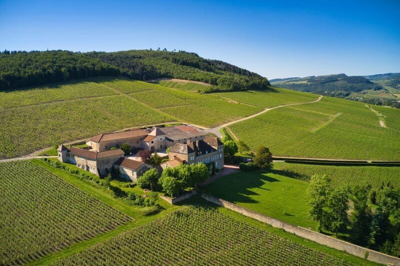 La Roche Vineuse: Visit to the Vine and Wine Museum - Who Will Appreciate This Tour?