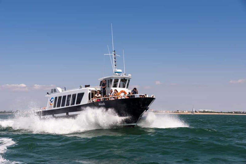 La Rochelle and its 3 ports (1h45) - Uncovering La Rochelle’s Ports: A Practical Guide to the 2-Hour Boat Tour