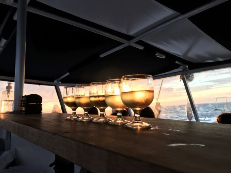 La Rochelle: Catamaran Cruise - An In-Depth Look at the La Rochelle Catamaran Cruise
