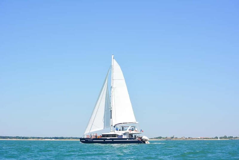 La Rochelle : Catamaran Tour - Key Points